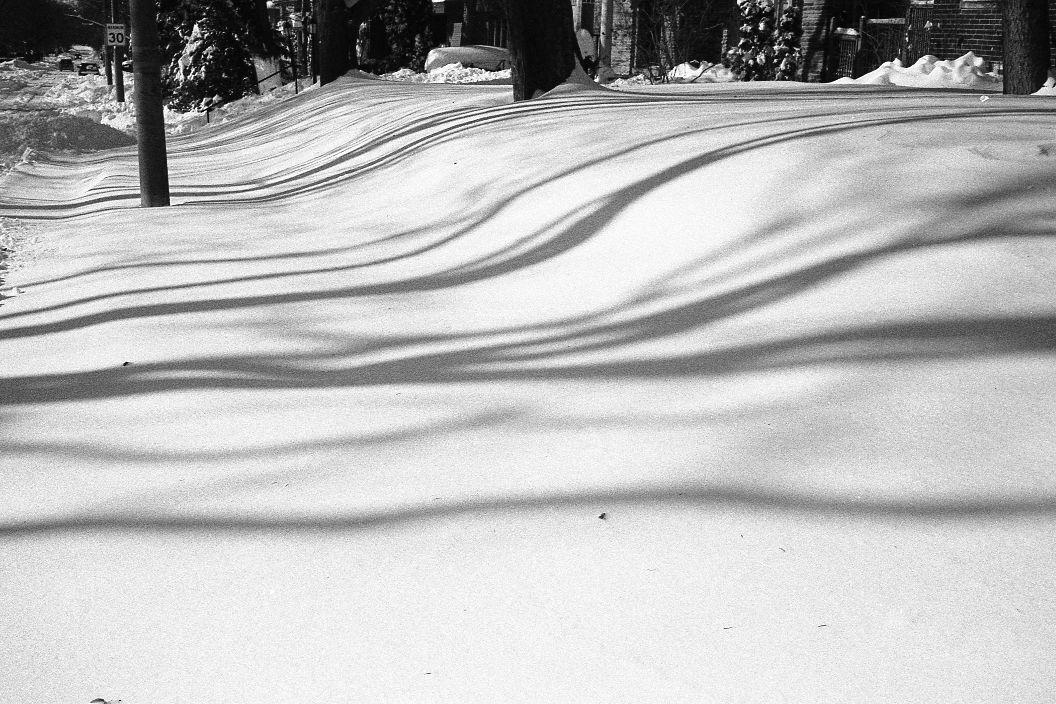 Custom Prints – Noam Hacker